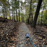 Lookout Ridge Loop and Skyline Overlook, Ohio - 658 Reviews, Map ...