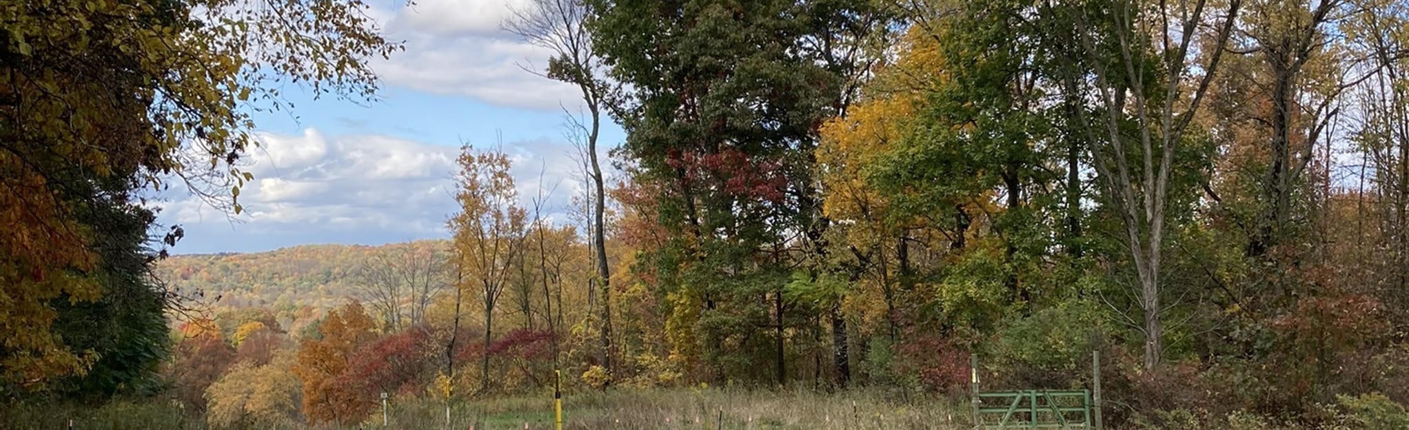 North Country Trail: Bowtown to Darlington: 119 Reviews, Map ...