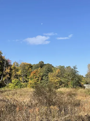 Best Hikes and Trails in Shaker Lakes Park | AllTrails