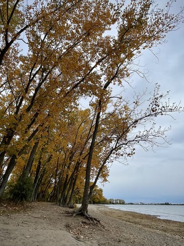 Best Hikes and Trails in Cherry Beach Park | AllTrails