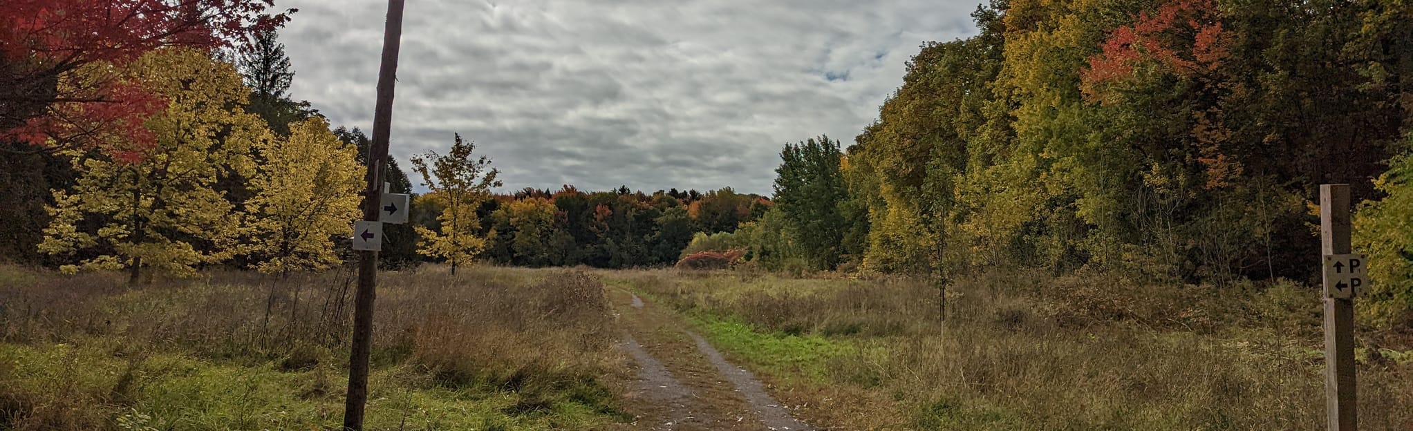 Morgan Arboretum Blue, Yellow and Purple Loop: 21 Reviews, Map - Quebec ...