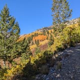 Pittsburg Lake Trail, Utah - 263 Reviews, Map | AllTrails