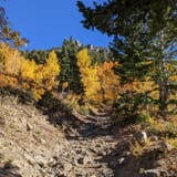 Pittsburg Lake Trail, Utah - 263 Reviews, Map | AllTrails