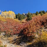 Pittsburg Lake Trail, Utah - 263 Reviews, Map | AllTrails