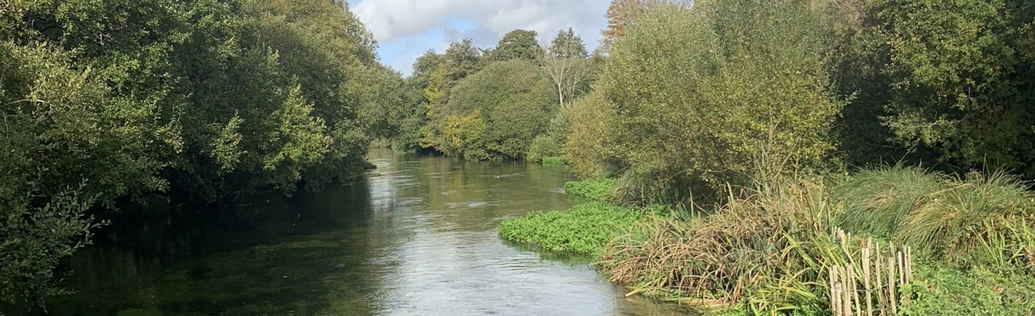 Itchen Abbas, Ovington and Abbotstone Circular: 12 Reviews, Map ...