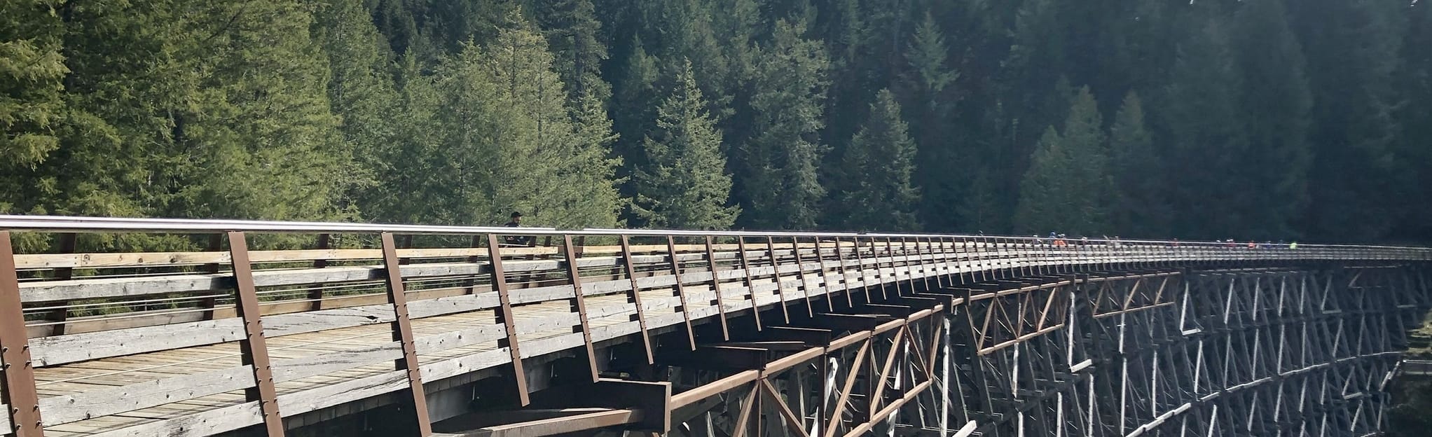Kinsol Trestle and Kinsol Bypass Trail: 764 foto's - Brits-Columbia ...