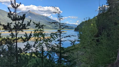 Best Forest Trails in Begbie Falls Recreation Site | AllTrails