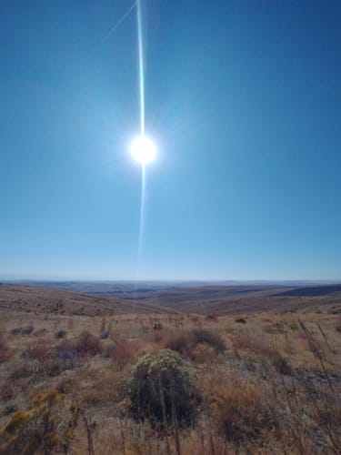 Best Hikes and Trails in Pendleton Adventure Trails Recreation Area ...