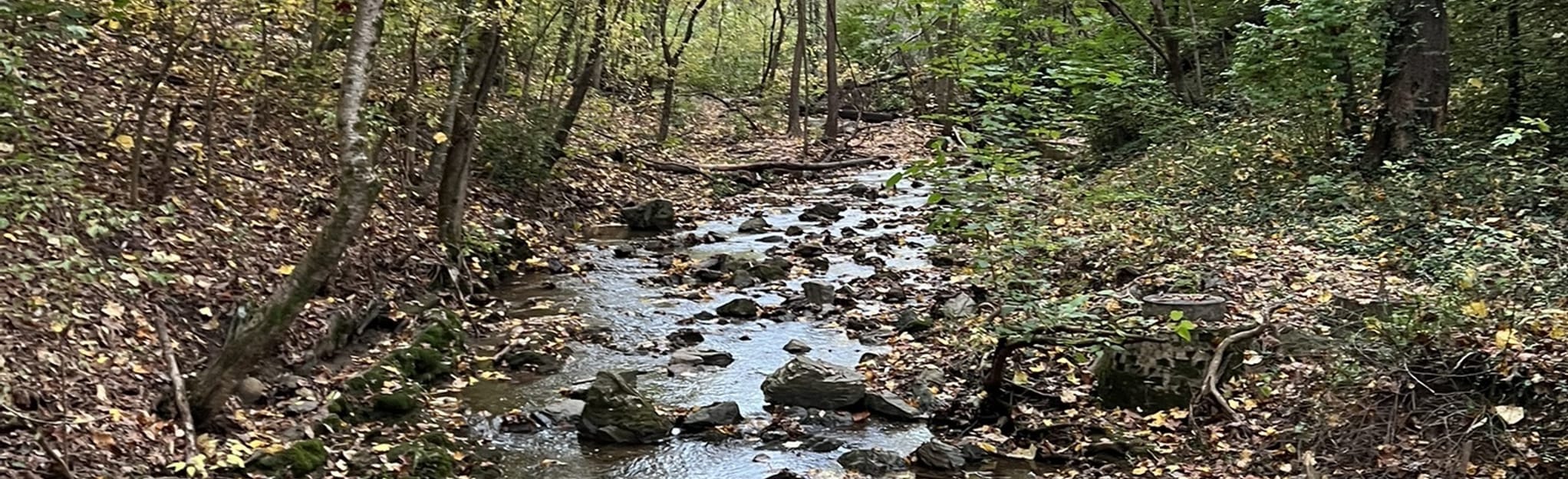 Murray Run Greenway and Hillside Trail Loop: 204 Reviews, Map ...