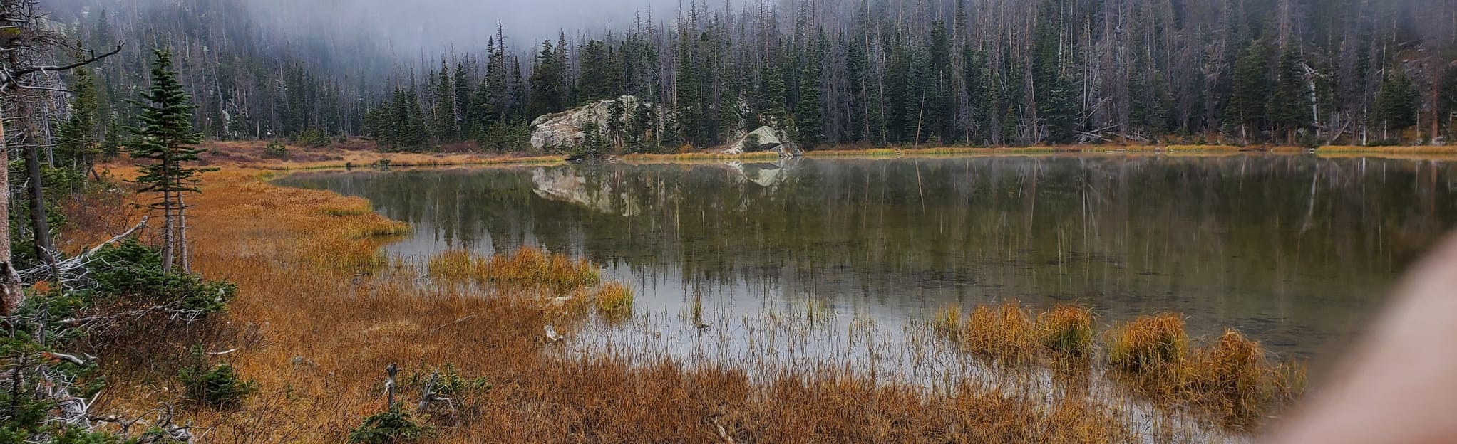 Pass Creek Trail: 91 Reviews, 117 Photos, Map - Colorado | AllTrails