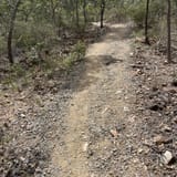 Kulgun Circuit, Queensland, Australia - 78 Reviews, Map | AllTrails