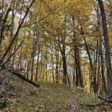 Hidden Valley Lake, Virginia - 73 Reviews, Map | AllTrails