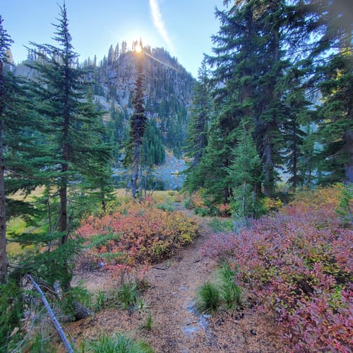 Best Hikes and Trails in Cabinet Mountains Wilderness | AllTrails