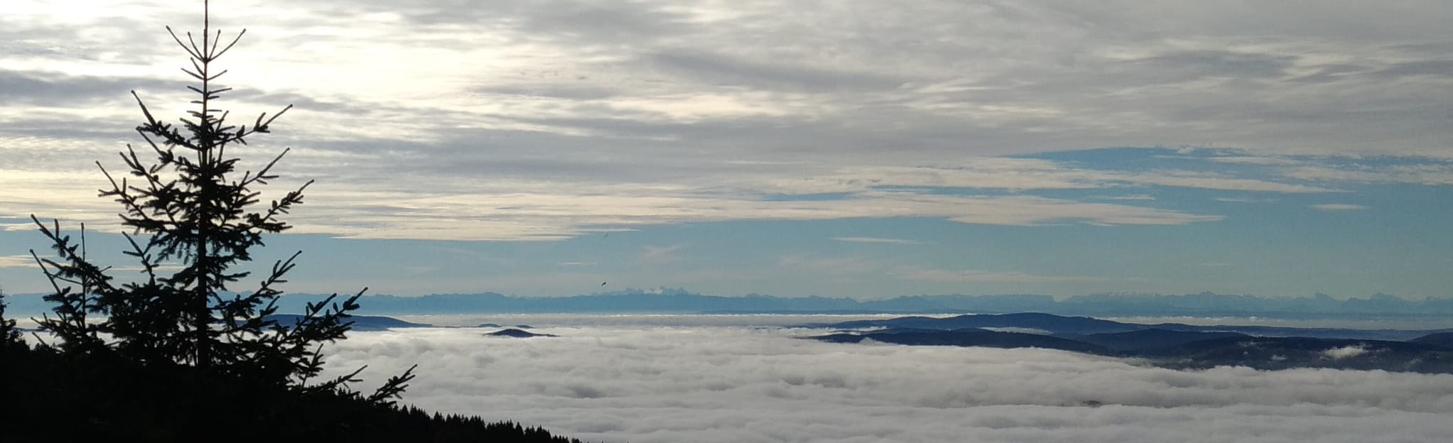 Breitenberg und Jägerbild Runde | Map, Guide - Bayern, Germany | AllTrails