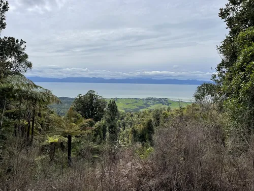 10 Best Hikes and Trails in Hunua Ranges Regional Park | AllTrails