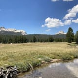Soda Springs and Parsons Lodge Trail, California - 470 Reviews, Map ...