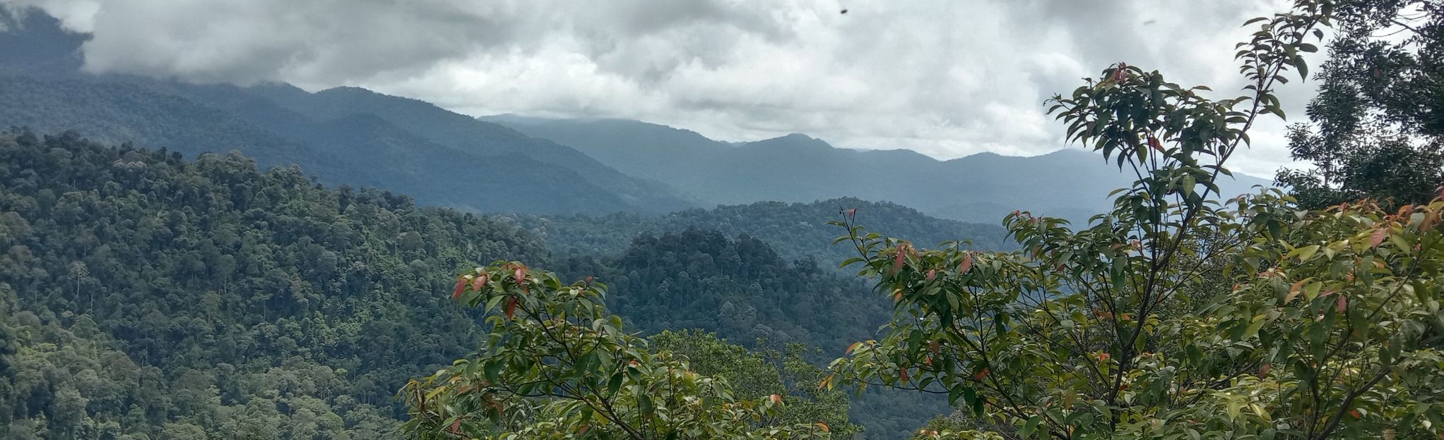 Bukit Chenuang Loop, Selangor, Malaysia - 36 Reviews, Map | AllTrails