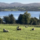 Lough Eske Nature Loop, County Donegal, Ireland - 137 Reviews, Map ...