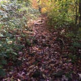 Whigg Meadow via Mud Gap Trail, North Carolina - 125 Reviews, Map ...