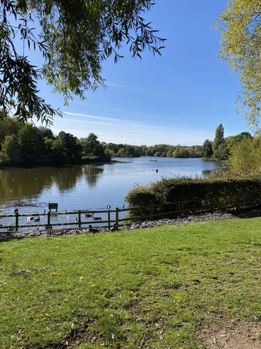 10 Best Trails, Walks, and Paths in Redditch | AllTrails