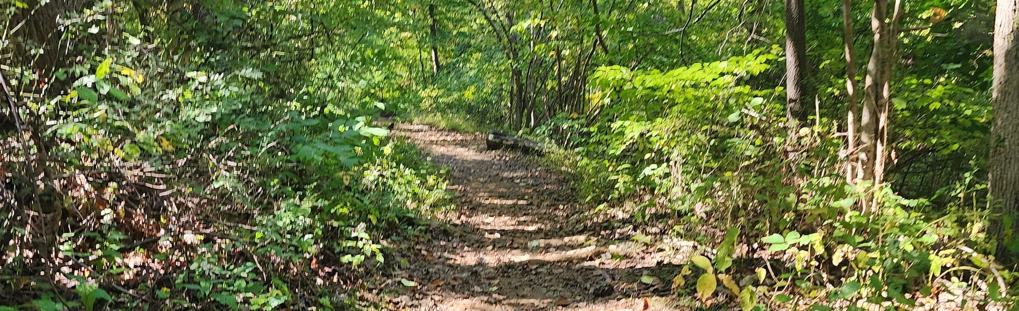 AllTrails | Yellow and Purple Trail: 285 Reviews, Map - New Jersey
