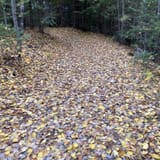 Potato Field and Maple Grove Trail Loop, New York - 305 Reviews, Map ...