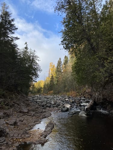 Best Hikes and Trails in Steve Michaud Park | AllTrails