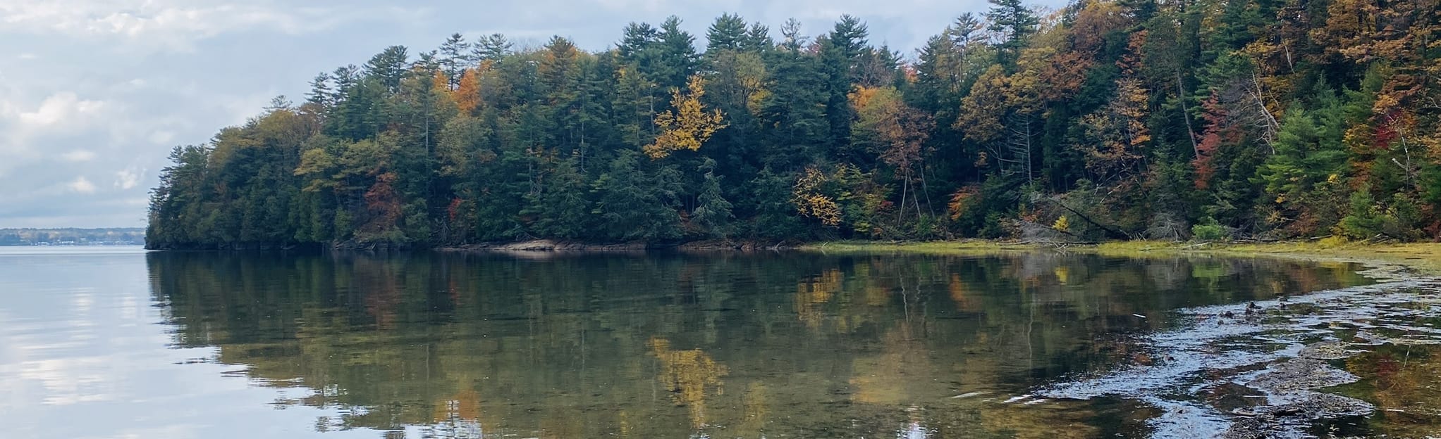 Niquette Bay State Park : 886 Photos - Vermont | Randonnée | AllTrails