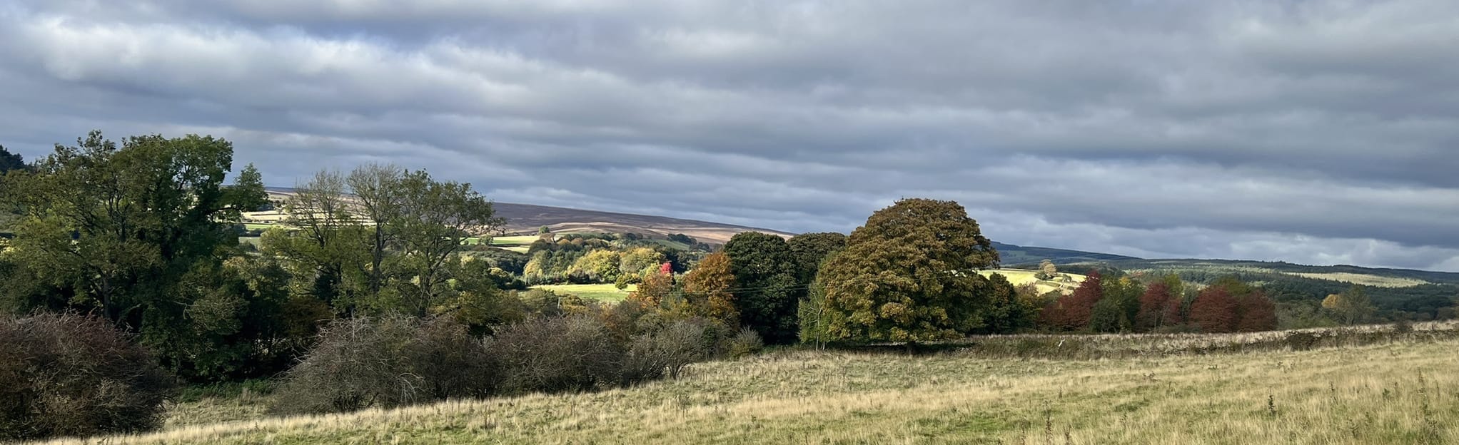 The Cropton Round: 99 foto - North Yorkshire, Inghilterra | AllTrails