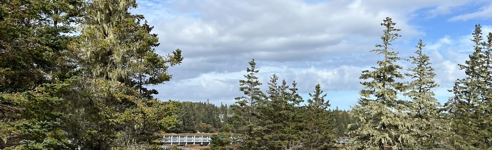 Little Rissers and Rissers Beach: 17 Reviews, Map - Nova Scotia, Canada ...