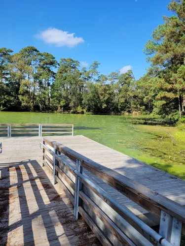 Best Hikes and Trails in Brock Park | AllTrails
