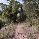 Pickett Trail, Texas - 567 Reviews, Map | AllTrails