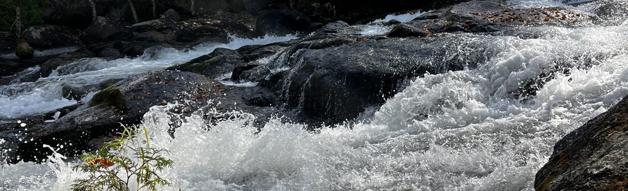 Mud Stream Falls, New Brunswick, Canada - Map, Guide | AllTrails