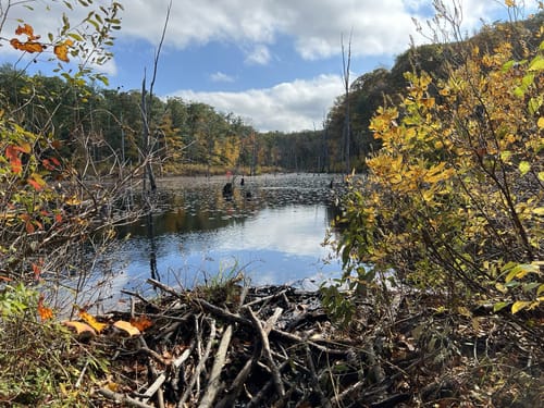 2023 Best 10 Trails and Hikes in Rhode Island | AllTrails