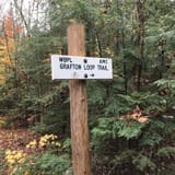 Grafton Loop Trail, Maine - 80 Reviews, Map | AllTrails