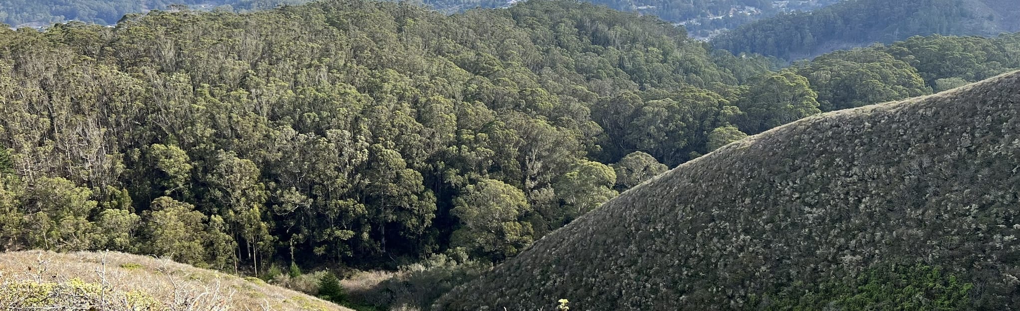 San Pedro Mountain via Old San Pedro, Burnside, and Boyscout Loop: 1. ...