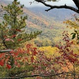 Sutton Ridge Overlook Trail, Tennessee - 495 Reviews, Map | AllTrails