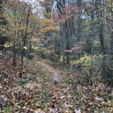 Hidden Valley Lake, Virginia - 78 Reviews, Map | AllTrails