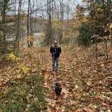 Hidden Valley Lake, Virginia - 78 Reviews, Map | AllTrails