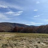 Whigg Meadow via Mud Gap Trail, North Carolina - 125 Reviews, Map ...