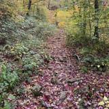 Whigg Meadow via Mud Gap Trail, North Carolina - 125 Reviews, Map ...