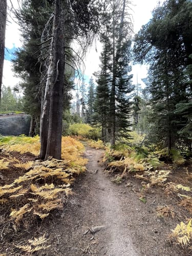 Best Hikes and Trails in Mi Wuk Village | AllTrails