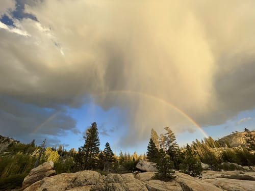 2023 Best Wild Flowers Trails in Mi Wuk Village | AllTrails