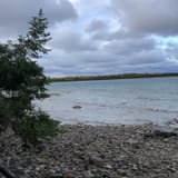 Besser Natural Area Loop, Michigan - 94 Reviews, Map | AllTrails