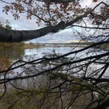 Besser Natural Area Loop, Michigan - 94 Reviews, Map | AllTrails