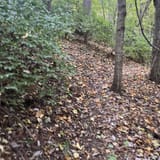 White River Greenway Loop, Indiana - 92 Reviews, Map | AllTrails