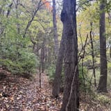 White River Greenway Loop, Indiana - 87 Reviews, Map | AllTrails