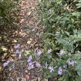 White River Greenway Loop, Indiana - 87 Reviews, Map | AllTrails