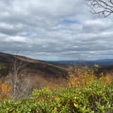 Torry Ridge Hike- Lower Sherando Lake via White Gap Trail, Virginia ...