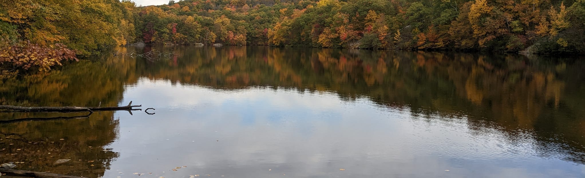 Middle Valley Loop, New Jersey - 267 Reviews, Map | AllTrails